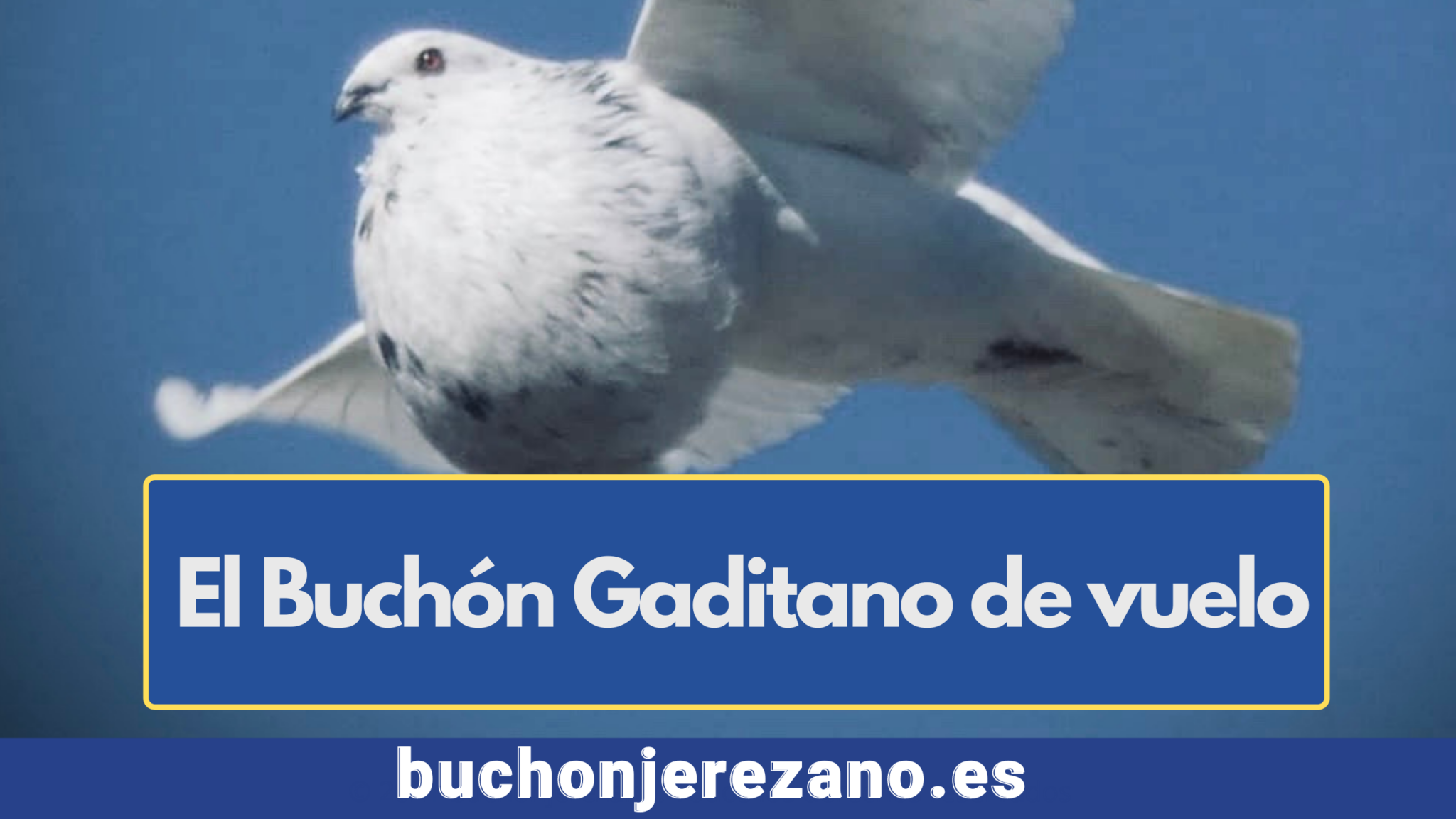 El Buchon Gaditano de vuelo en Jerez - Buchon Jerezano
